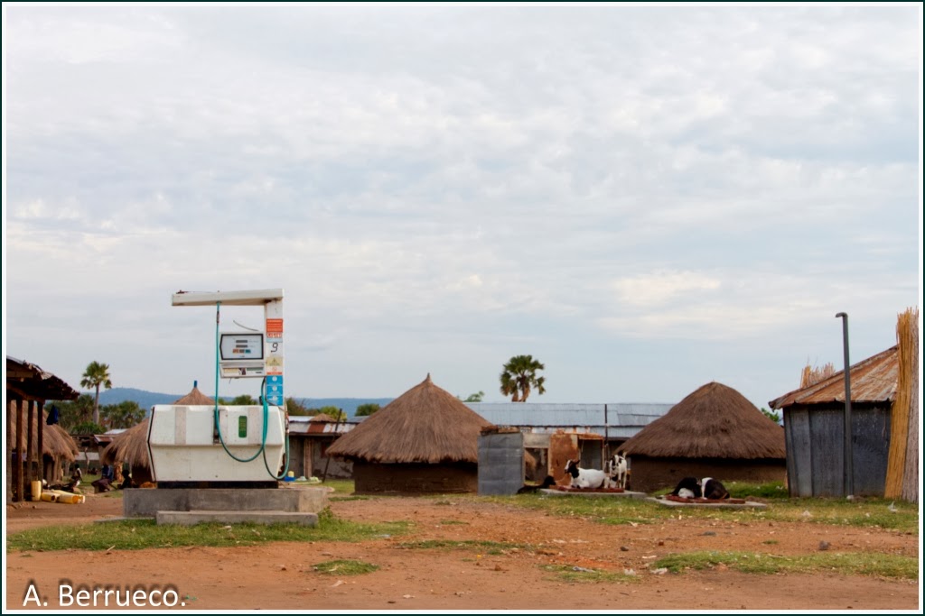 SIBISNUS: UGANDA: BUTIABA (LAGO ALBERTO) - RUIGO (KIBELE CRÁTER)