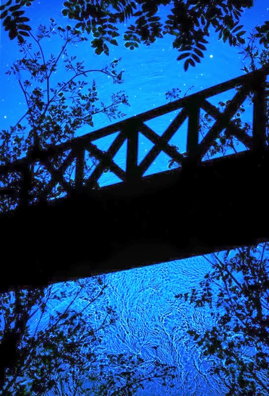 Searching for the Light: Susan Derges, New Work @ Danziger Gallery