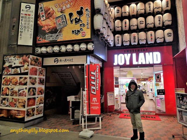 anythinglily: Hokkaido Pt 10: Sapporo Sightseeing II