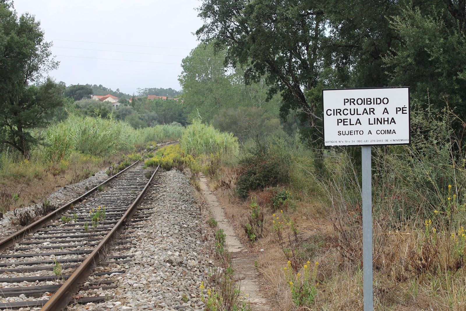 Pela Linha Férrea !: O futuro da via férrea