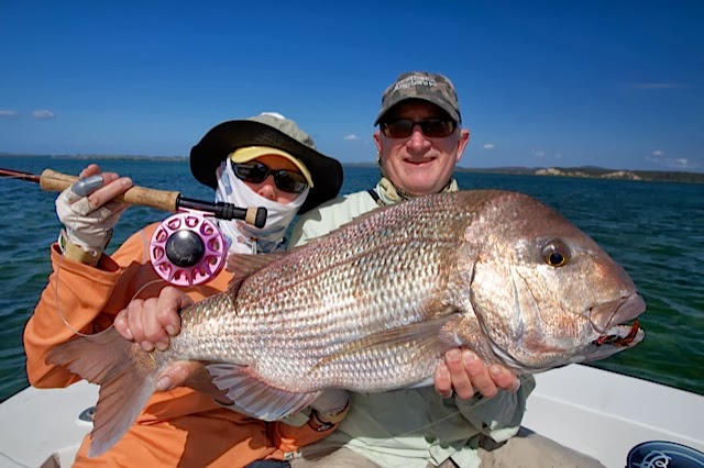 NT Fly Fishers : NZ Snapper