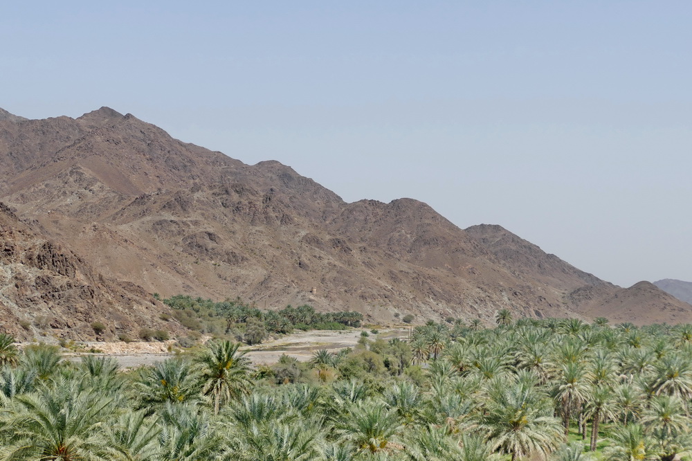 Geheimtippreisen: Oman Roadtrip: Bait al-Sarooj, unbekanntes Fort ...