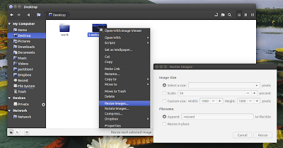 Nemo Emblems, Image Converter and Filename Repairer Extensions Added To ...