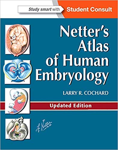 MEDICAL BOOKS PDF FOR FREE: Embryology