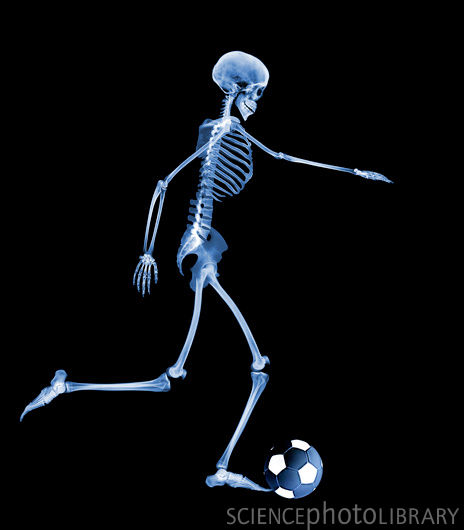 A football player displays his amazing skull : r/soccercirclejerk
