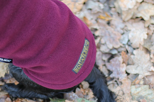 Equafleece Dog Jumpers | Steph & The Spaniels: Dog Friendly Lifestyle Blog