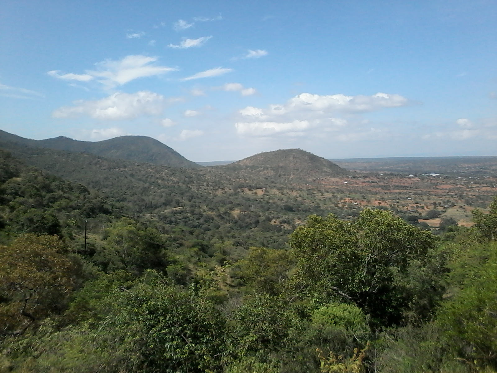 Times in Tanzania: North Pare Mountains and Kindoroko Forest