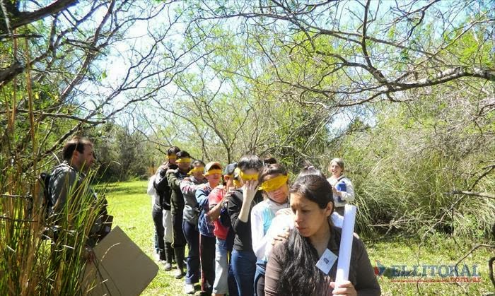 ASOCIACION ECOLOGISTA RIO MOCORETA: RECONOCIENDO ESPECIES programa ...