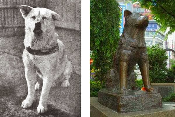 Boom: Hachiko - The True Story of a Loyal Dog