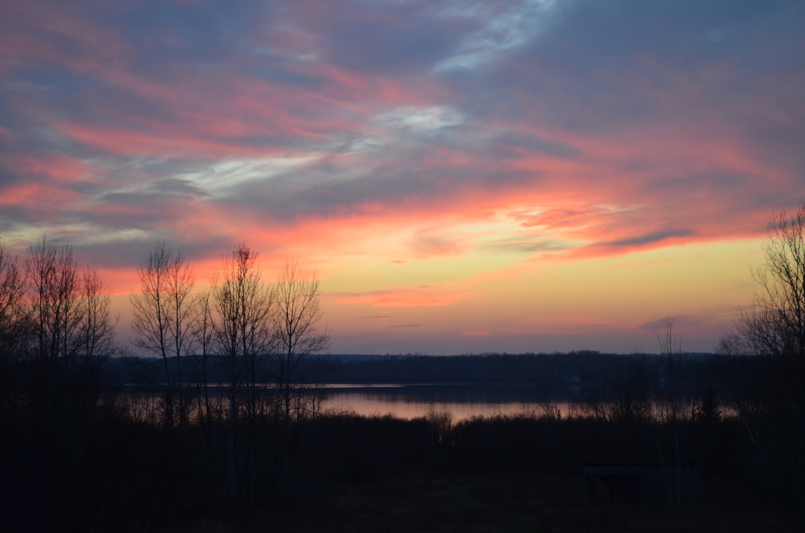 follow your heart woodworking: Great View!