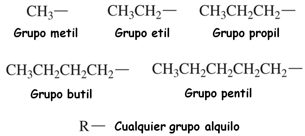QUÍMICA ORGÁNICA: Nomenclatura de los sustituyentes Alquil