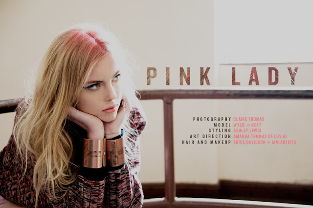 the haute obsession: luv aj's pink lady lookbook for fashion gone rogue.