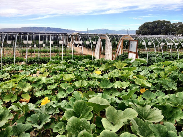 linzlinzlinz: Embrace Your Community