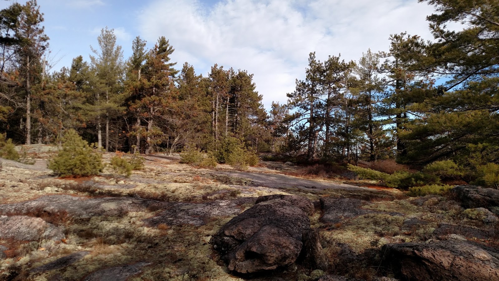 Off on Adventure: Ledge Hill - Vanderwhacker Mountain Wild Forest - 12/6/15