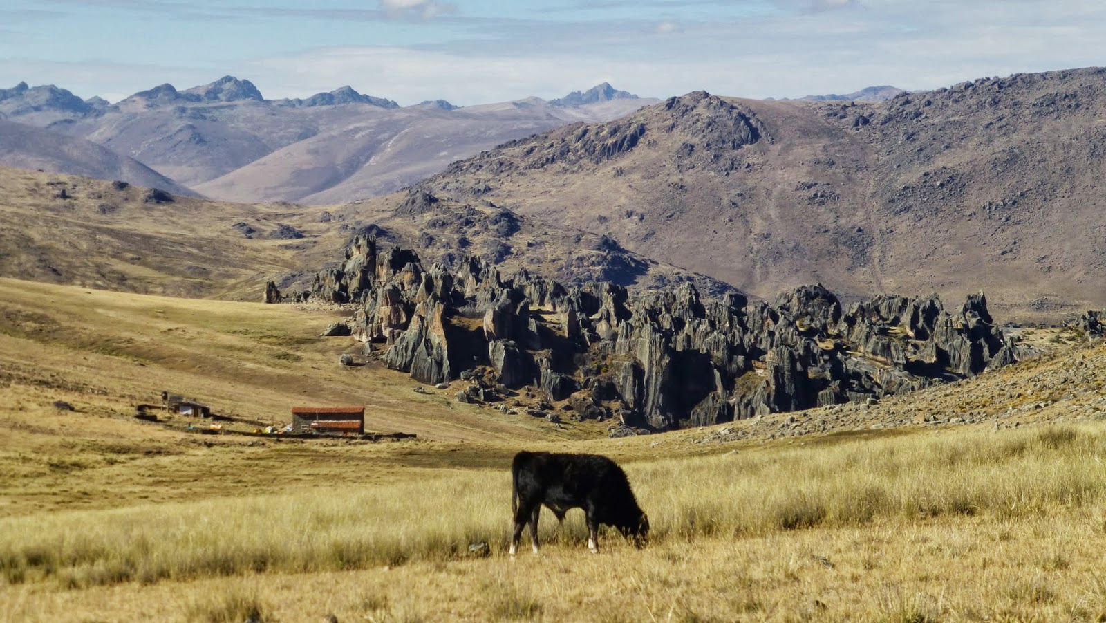 Sending The Gnar! :): Peru: Hatun Machay