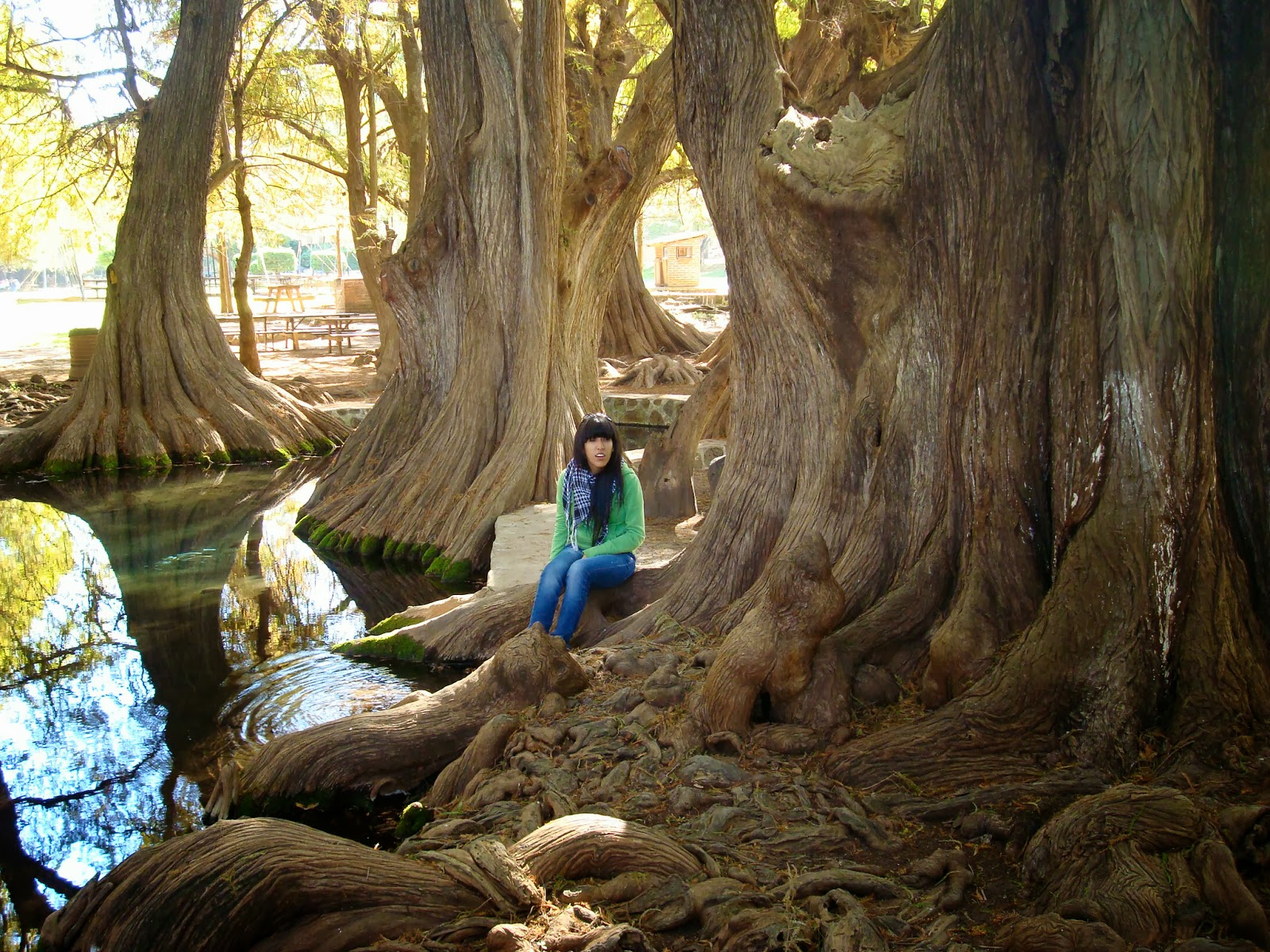 Un lugar en el mapa...: Lago de Camécuaro. Oasis en el casi-desierto.
