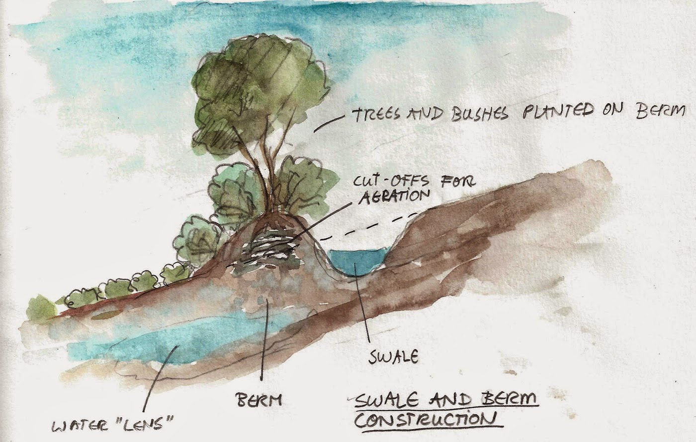 Axel Ewald - recent projects, discoveries & reflections