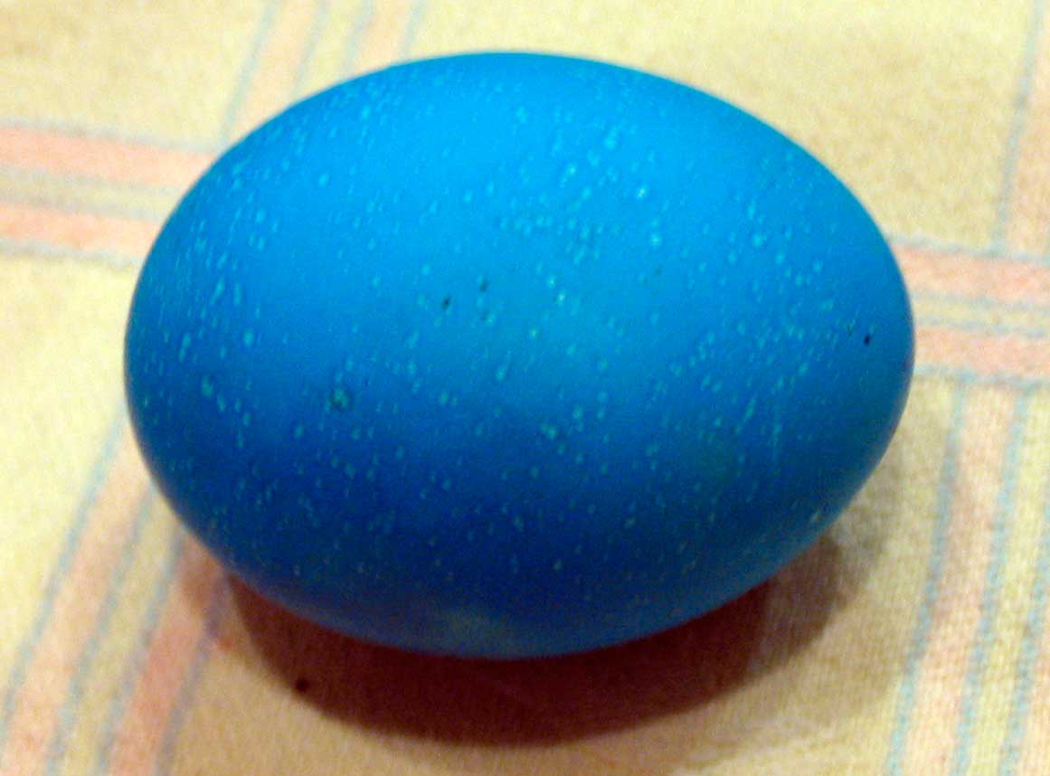 Poppular Photography: April 2011