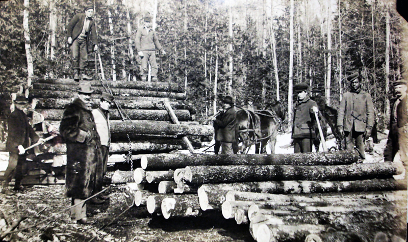 Bike WA to VT, Write History: Shingleton, Michigan
