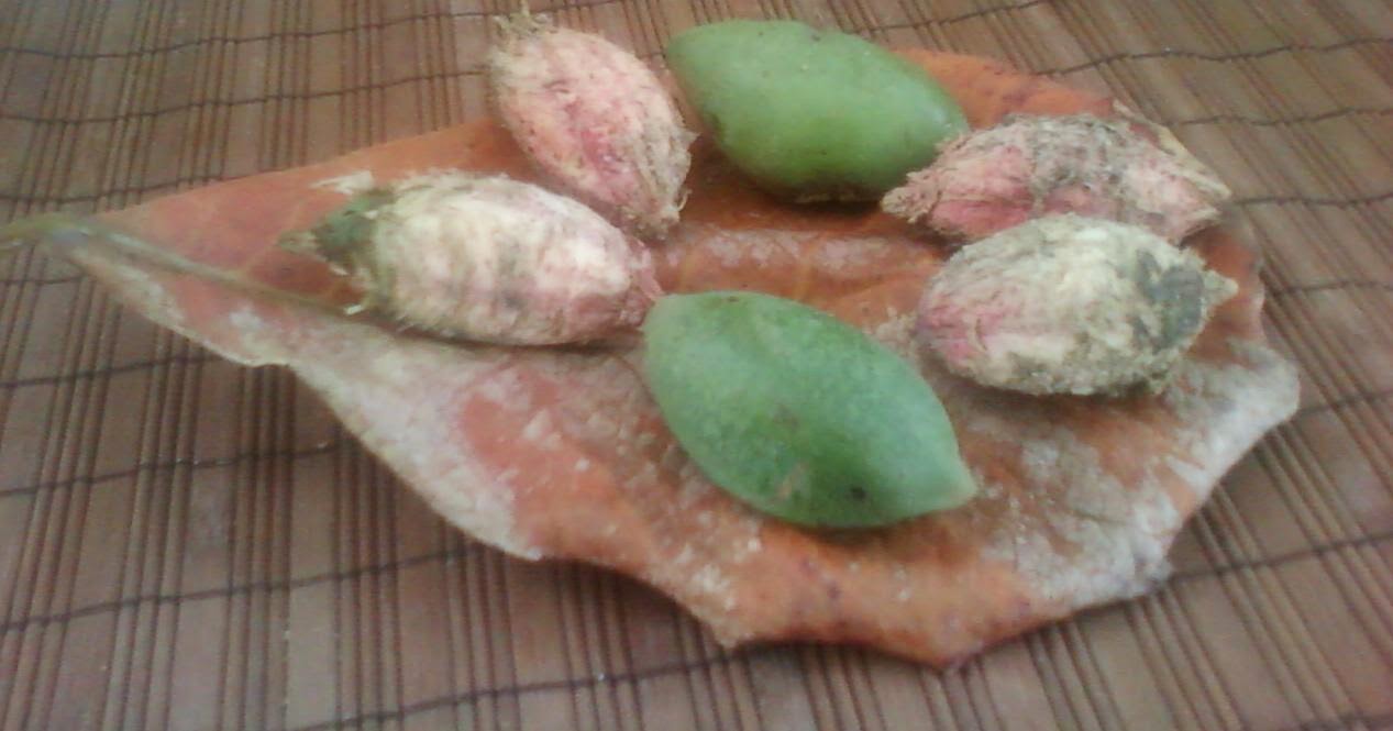 Partager avec plaisir - Recettes de cuisine faciles et idées de ...