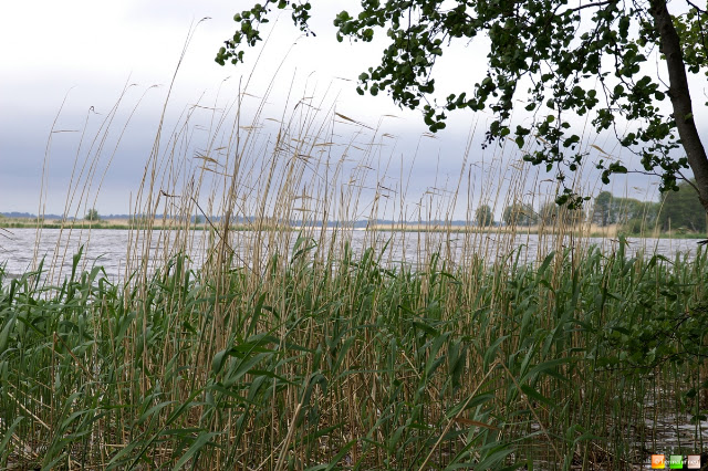 Locationen: Nemunas Delta Regional Park (Litauen)