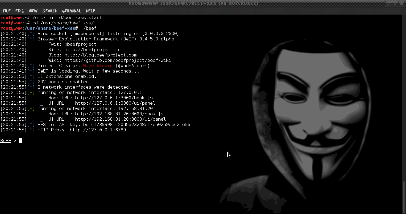 BeEF - Kali Linux | SolutionRider- One Stop Solution for Notes, Exams ...