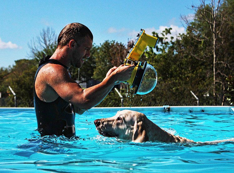 ELIZABETH AVEDON JOURNAL: SETH CASTEEL: Five Questions for the Author ...