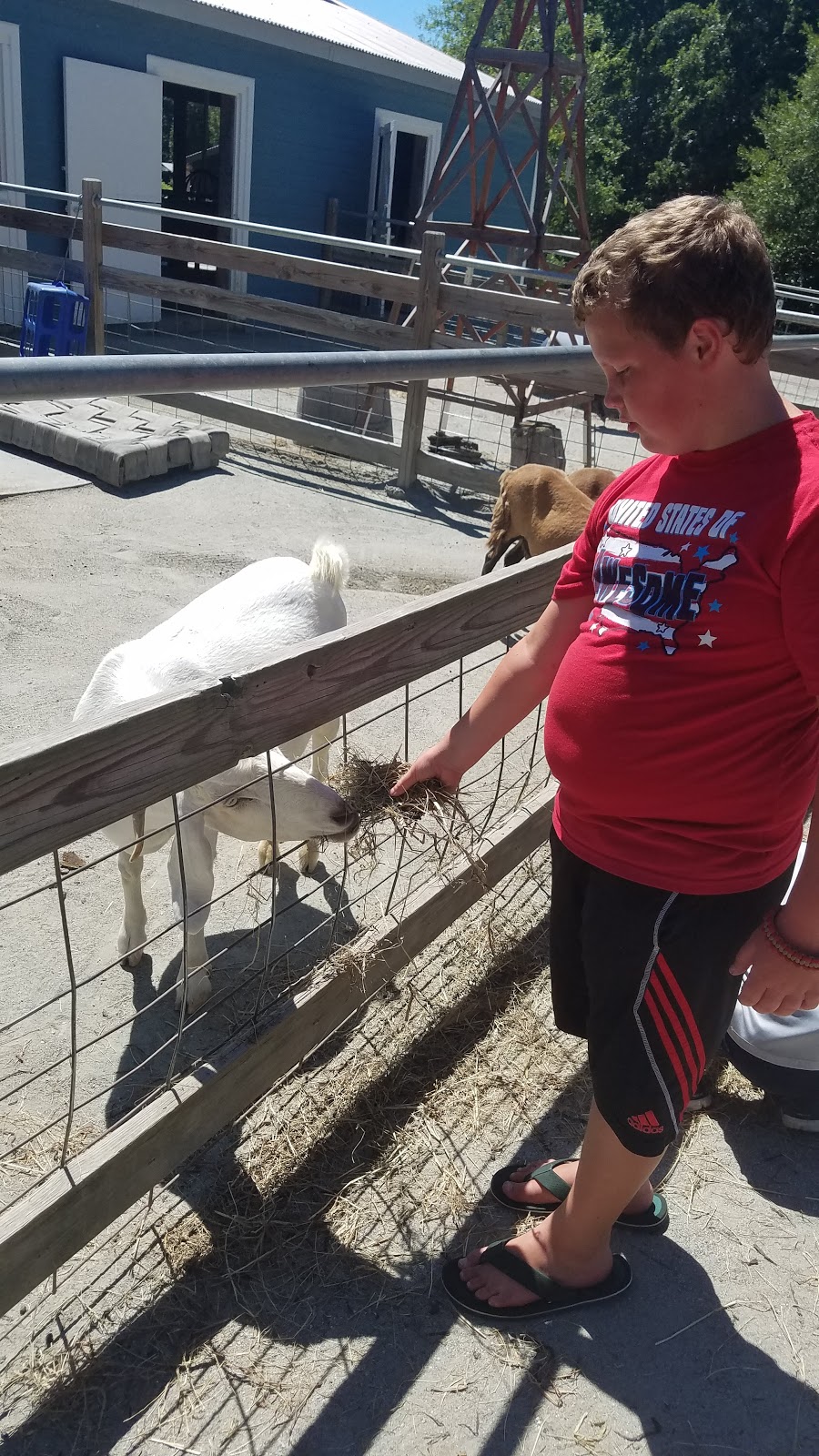 The Nellenbach Update