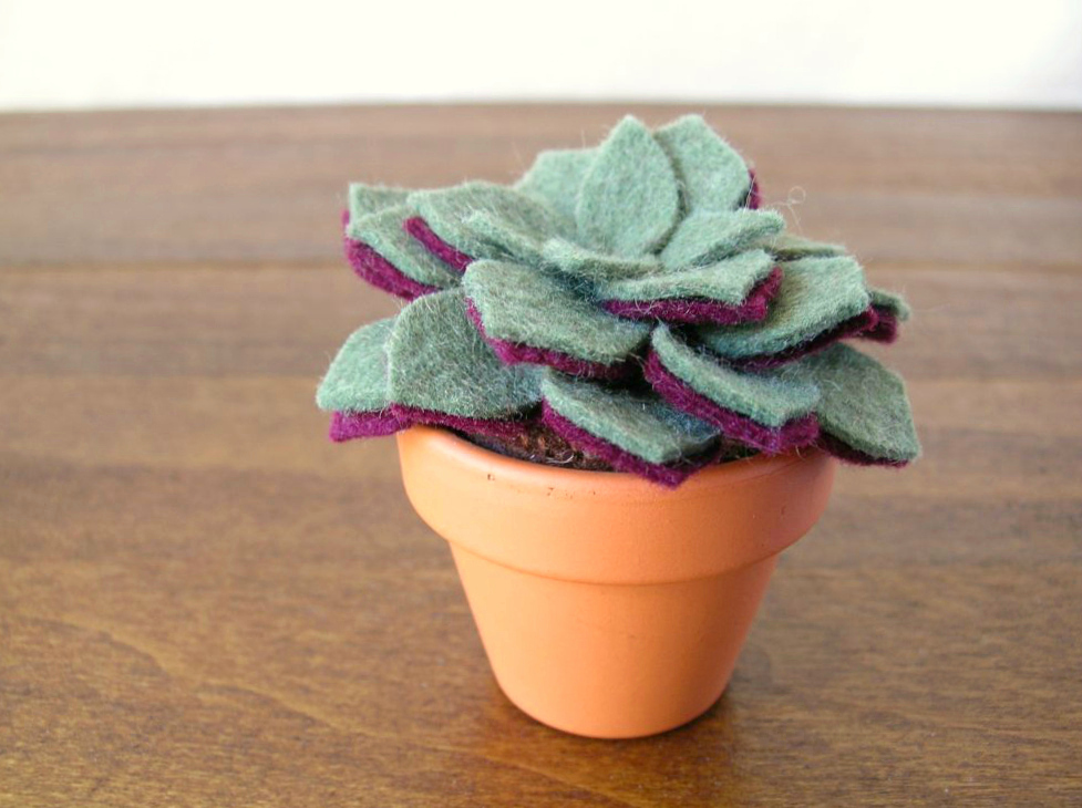 ORDINARY MOMMY DESIGN: Felt Succulent Plants // New Line Launch