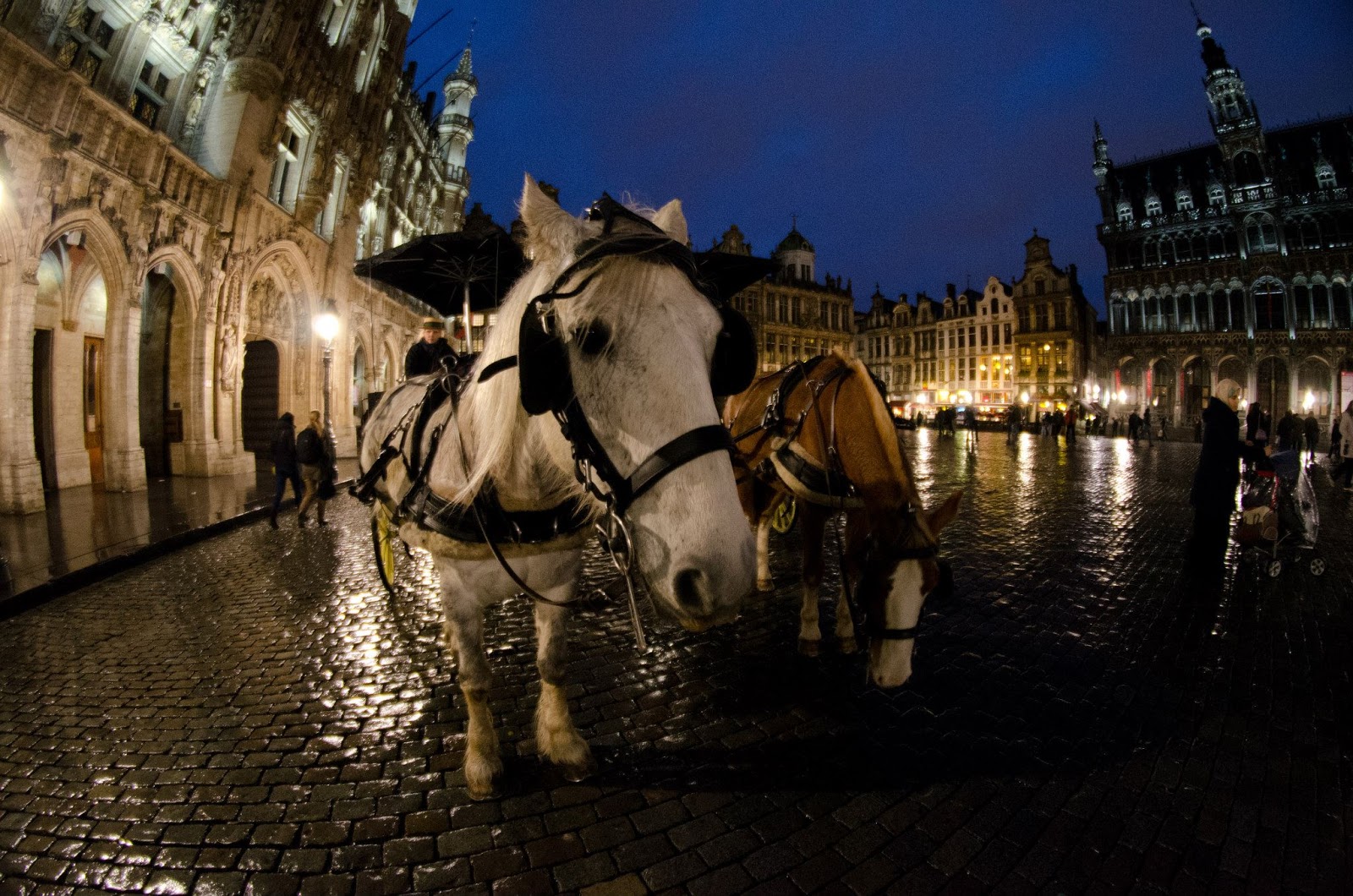 Sh!t Theatre Present: A Sh!t Blog