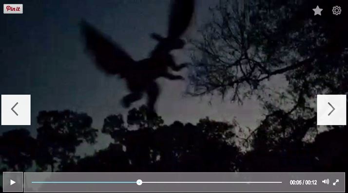 Endangered New Jersey: The Jersey Devil Reappears