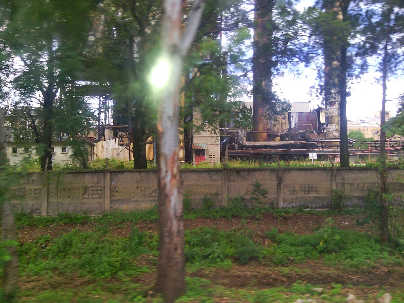 MARITIM'S DAILY POSTS: GOVERNMENT SHOULD REVIVE WEBUYE PAN PAPER INDUSTRY