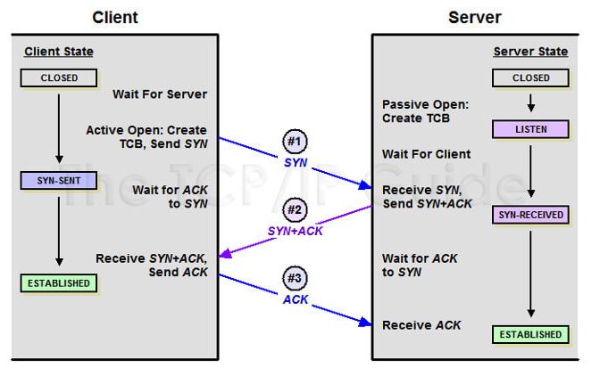 Client Server ~ Networking