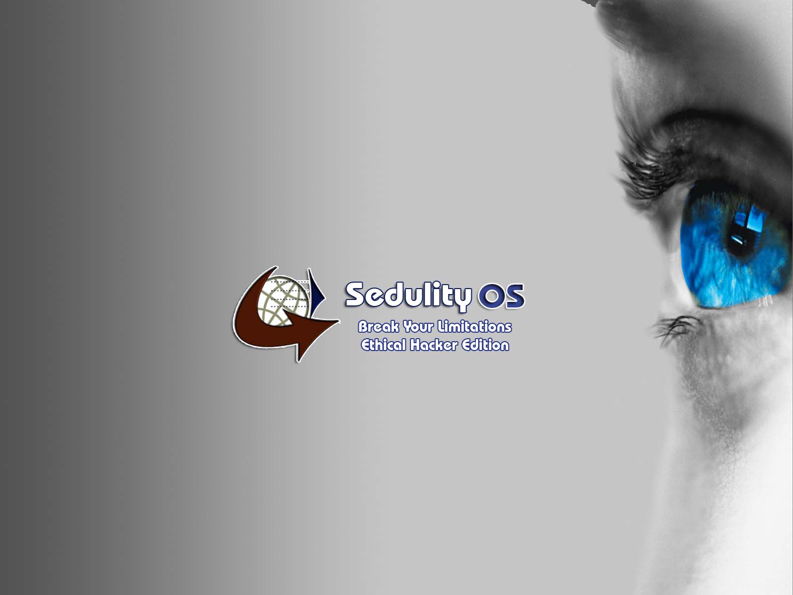 Sedulity Groups | Official Blog: Sedulity Operating System | Ethical ...