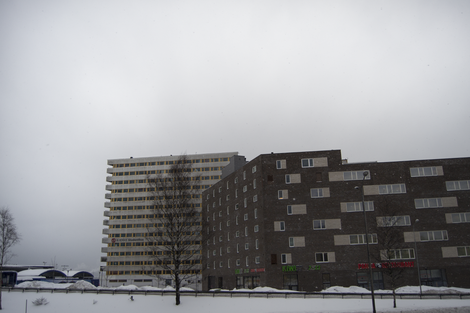 SiO - Studentsamskipnadem i Oslo og Akershus - Snowruega