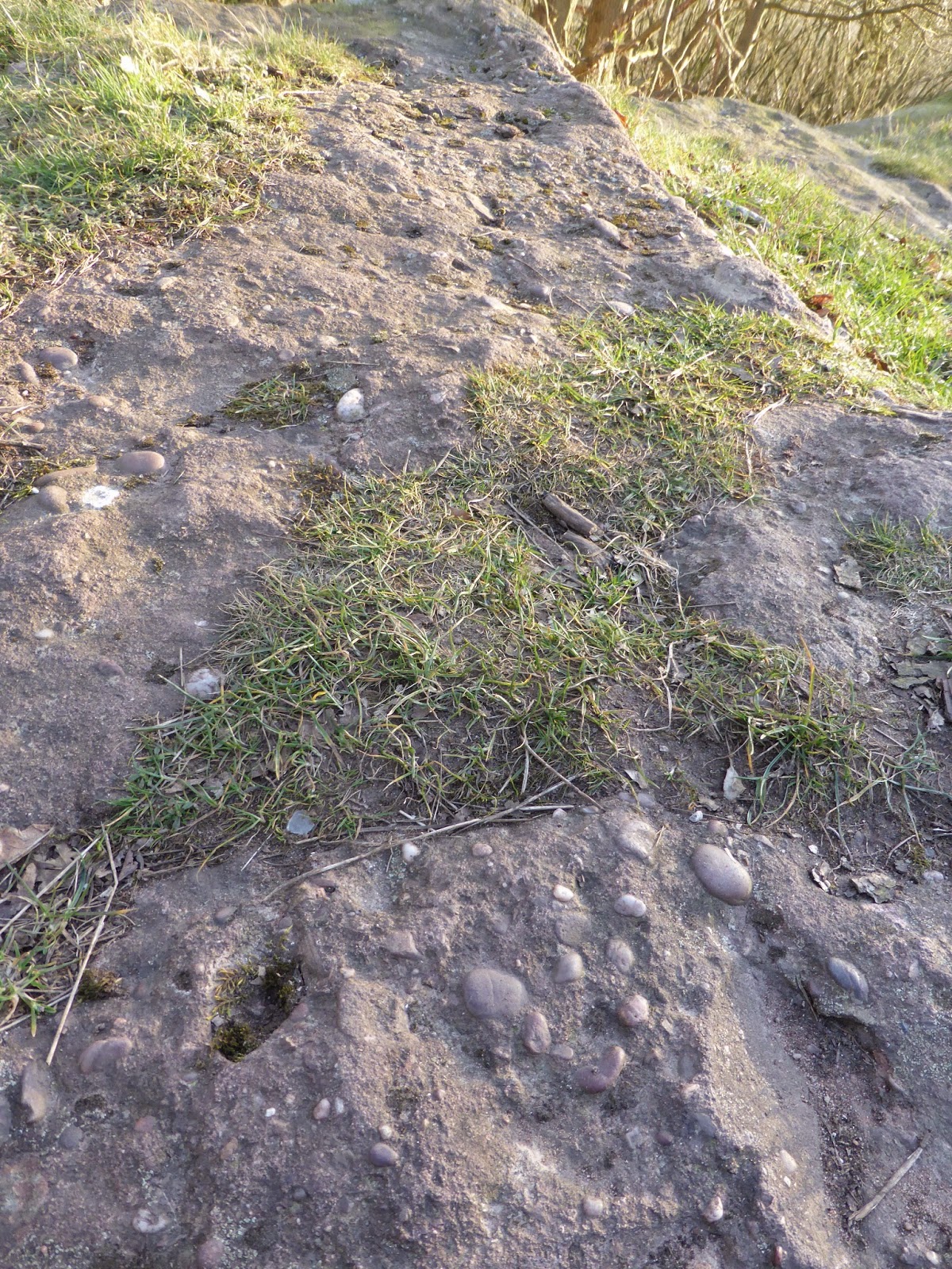 Noumena, Cognita and Dreams: The Hemlock Stone