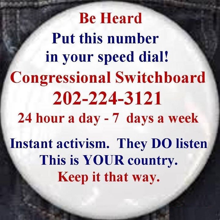 The Lady(Bug) of the Household: U.S. Senators of the 115th Congress