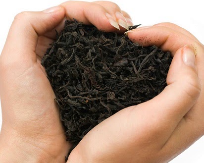 Ini Manfaat Daun Teh Hitam Kalau Anda Mau Rutin Mengkonsumsinya