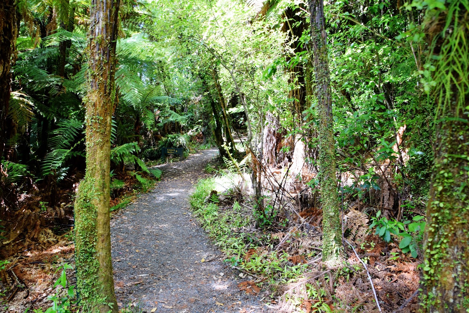 Love and Happiness: Mount Pirongia, New Zealand