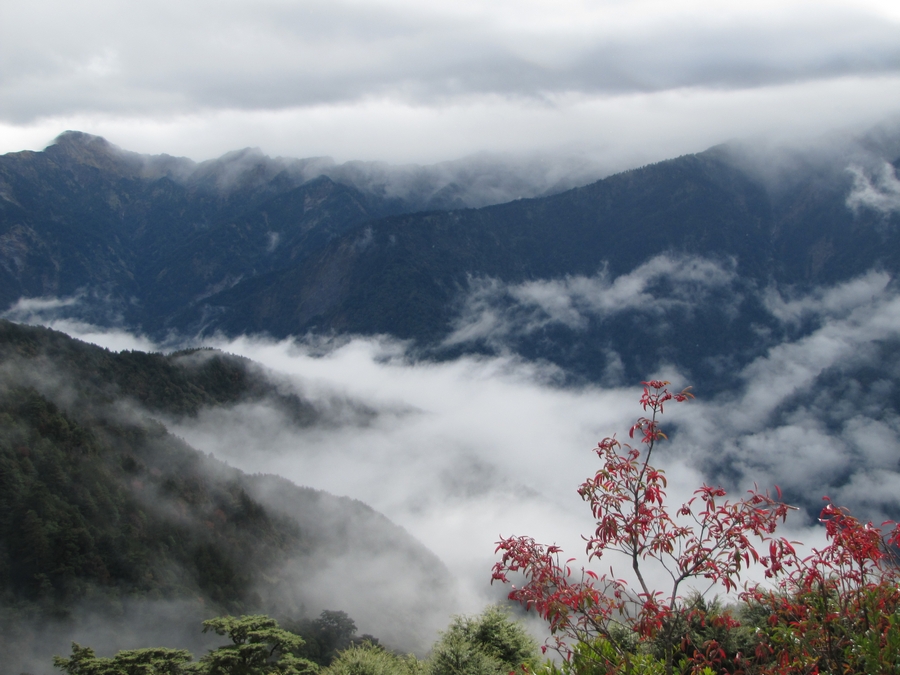 Puli, Wushe & Cingjing Farms, Taiwan (浦里/霧社/情境农场)