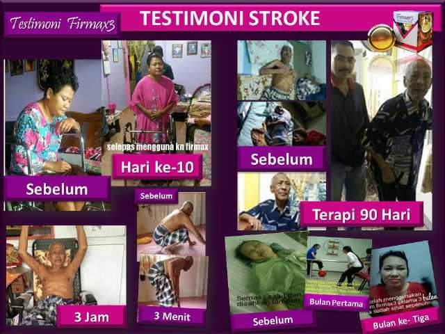 Distributor Resmi Firmax3