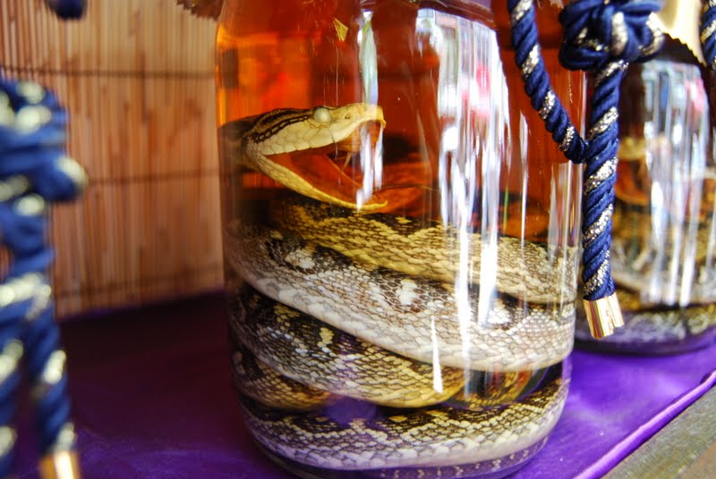 Lens Mission Blog by Sarah Fillman: Kokusai St