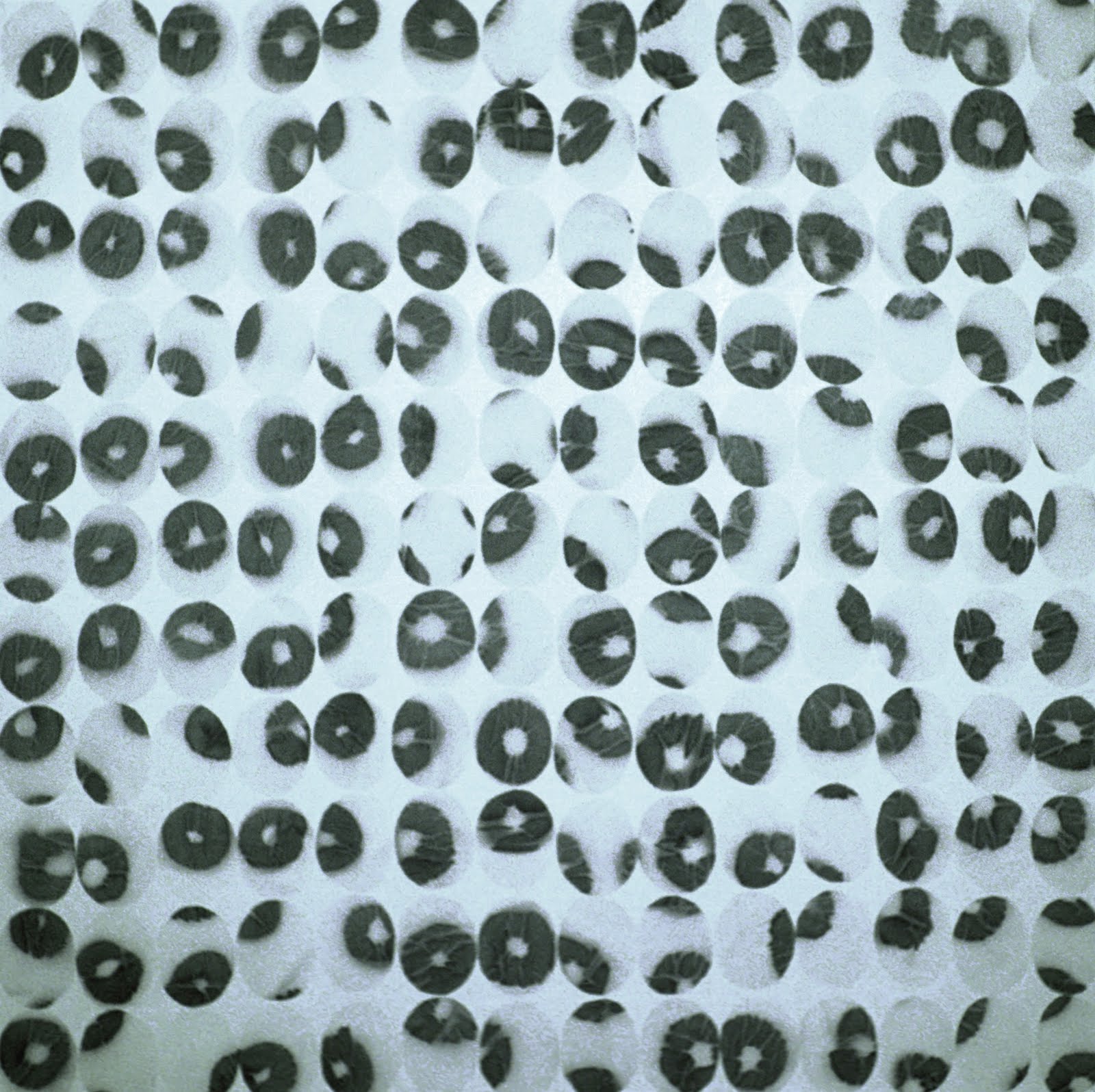 Catherine Carter: Painting Archive