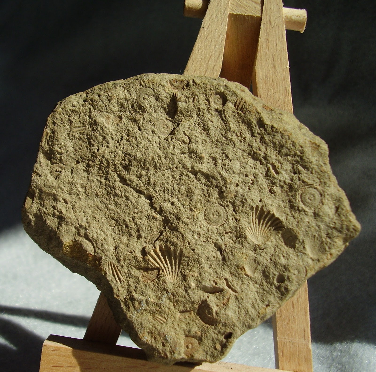 Archaeology of Portable Rock Art: Junior archaeologist and ...