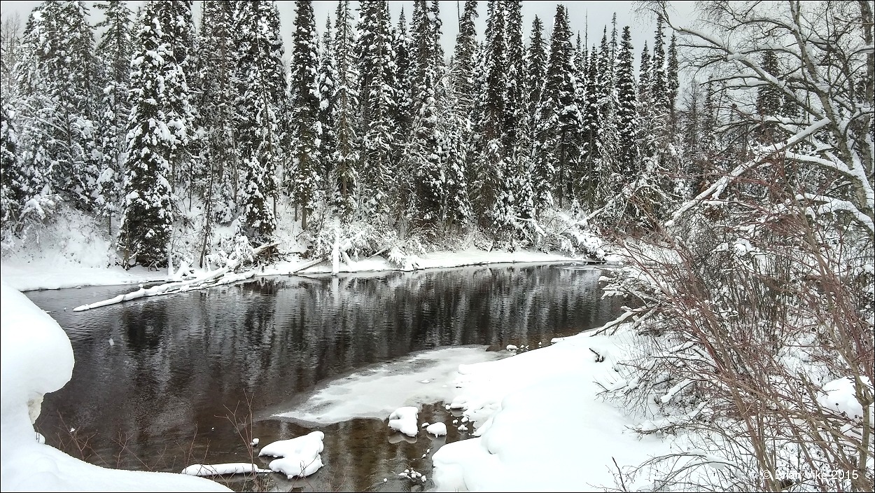 Northern Interior British Columbia: Steelhead And Winter Ice Fishing In ...