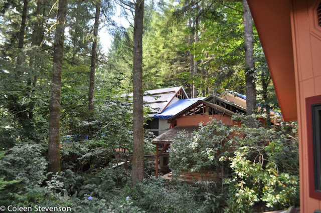 Gene's Faswall Shop, Summer 2011: Mountain Chalet?