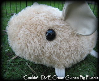 All Things Guinea Pig: Guinea Pig Toy PATTERNS - make your own