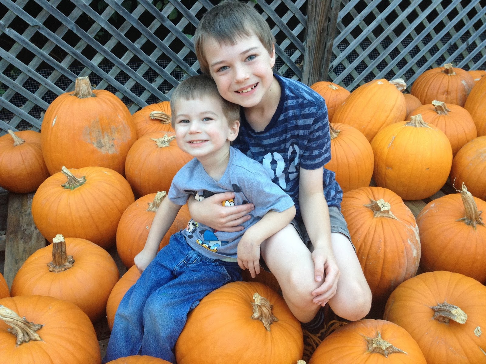 Cummins Life: Pumpkin Patch Fun