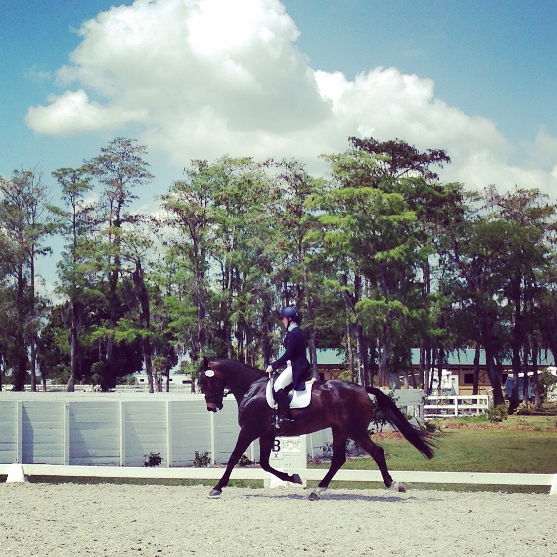 The Adventures of Shauna and the Sheep