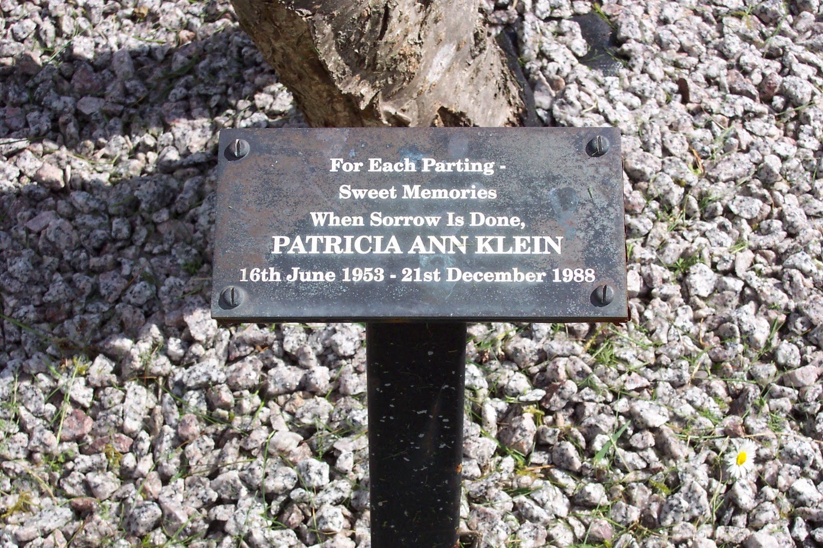 Grave Encounters: Lockerbie Air Disaster - Part 12 - Tree Plaques ...